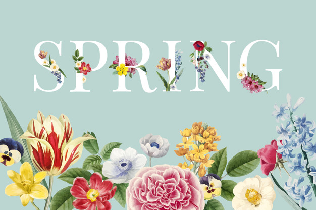 Celebrate Spring with Seniors | Fun Ways for Older Adults to Celebrate ...