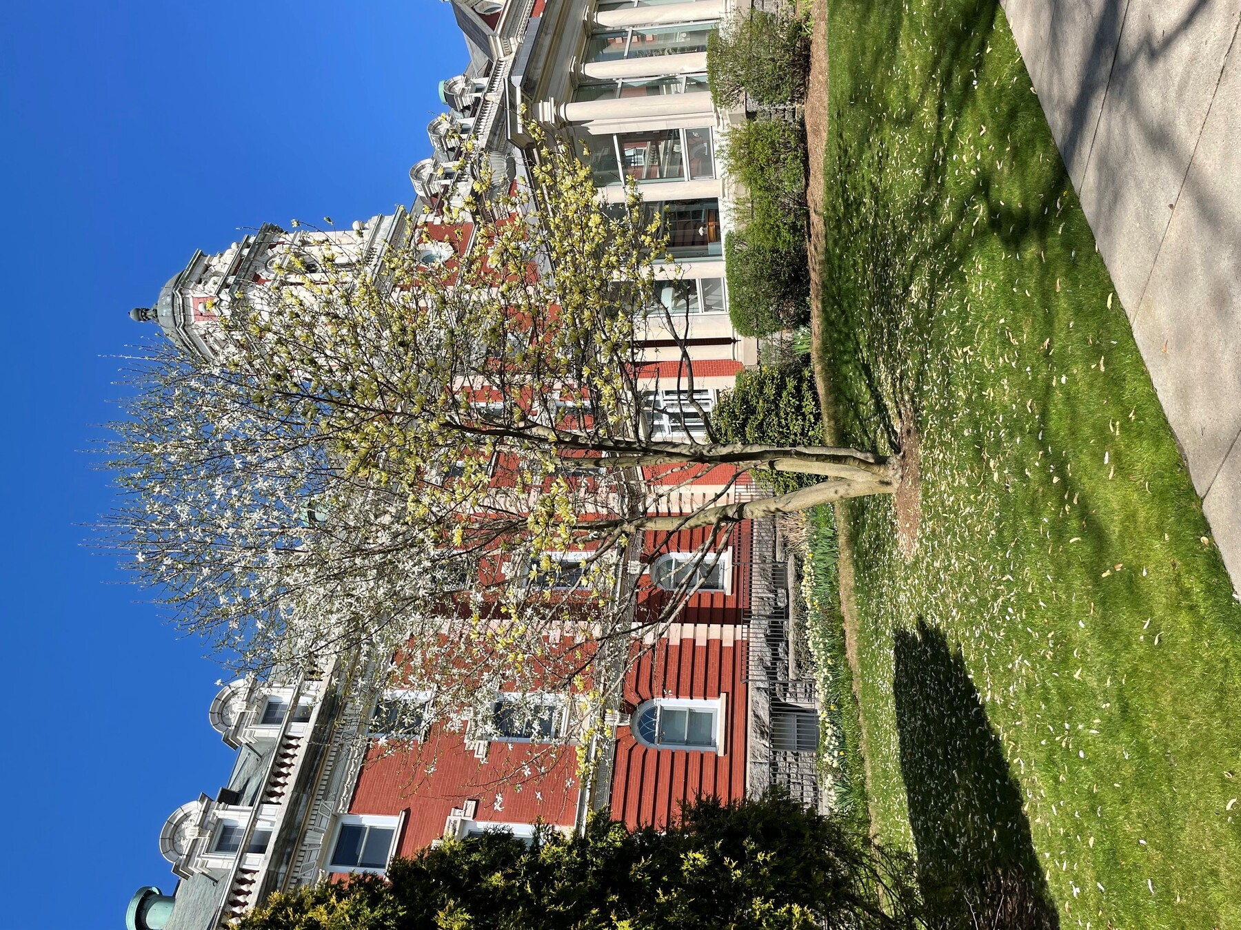 Conservation of the Arboretum Campus - The Osborn